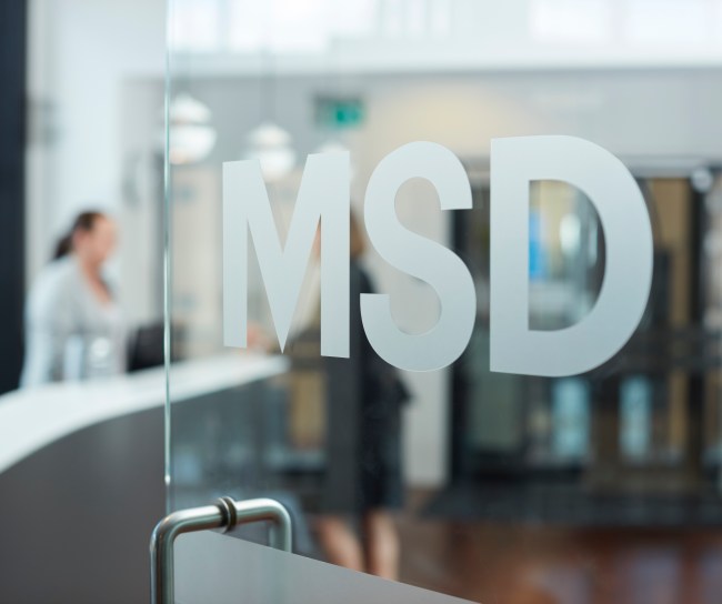 Ansvarlighed - MSD Danmark