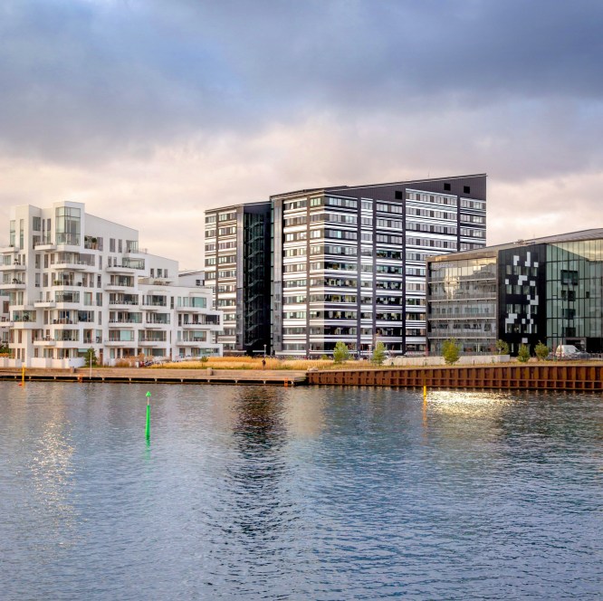 Nyheder - MSD Danmark